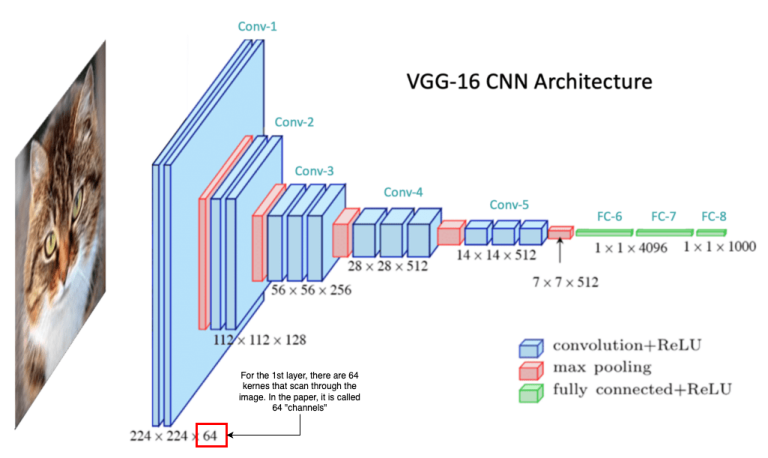 Convolutional Neural Network – Convolution, Padding, and Strides ...
